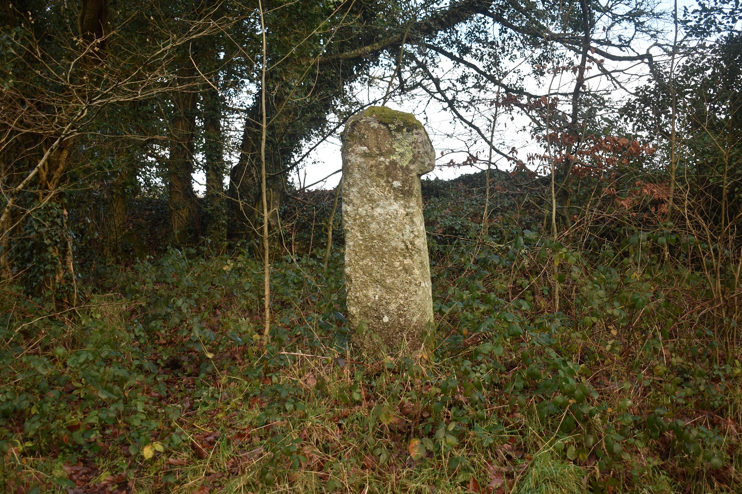 Linscott Cross | treksandtors