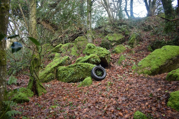 Linscott Tor | treksandtors