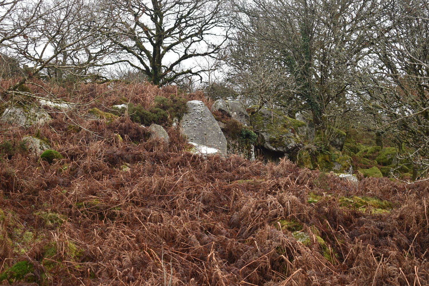 Spitchwick Common Tor | treksandtors