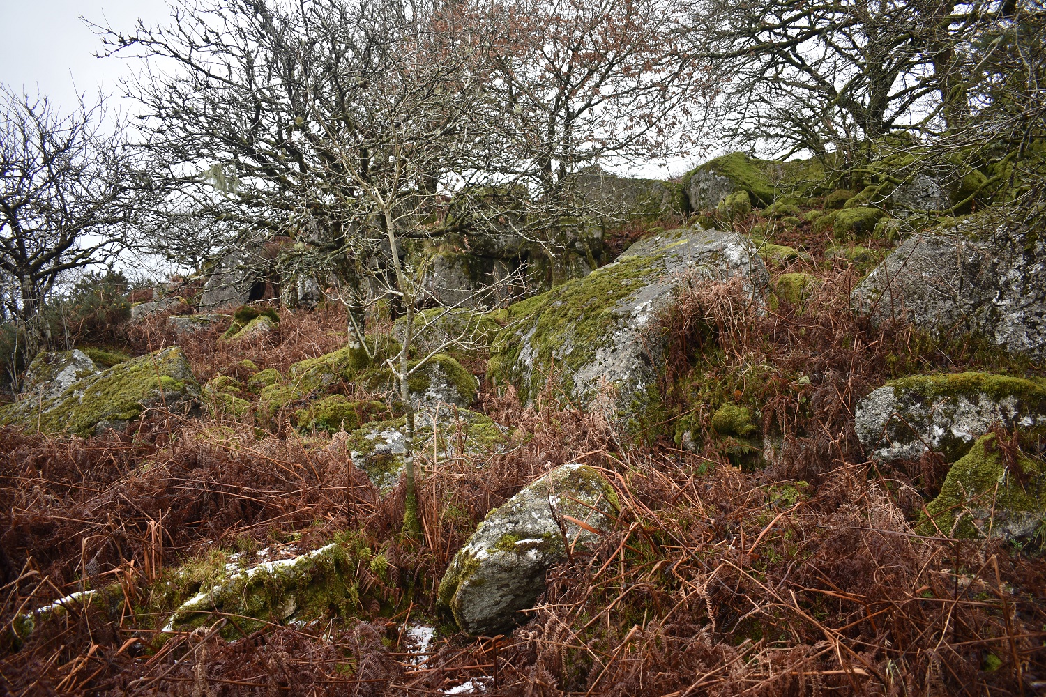 Spitchwick Common Tor | treksandtors