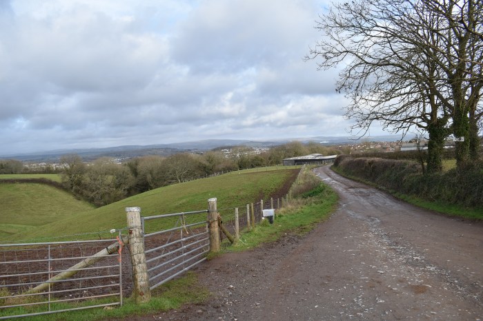 Staddon Heights and Bovisand with the boys | treksandtors