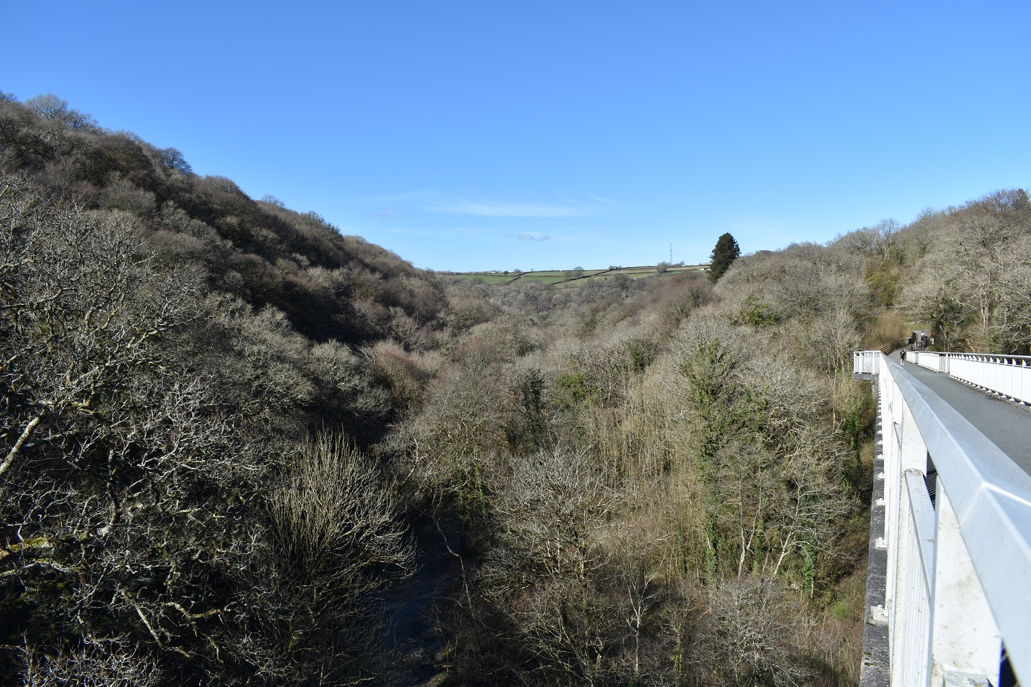 Gem Bridge | treksandtors