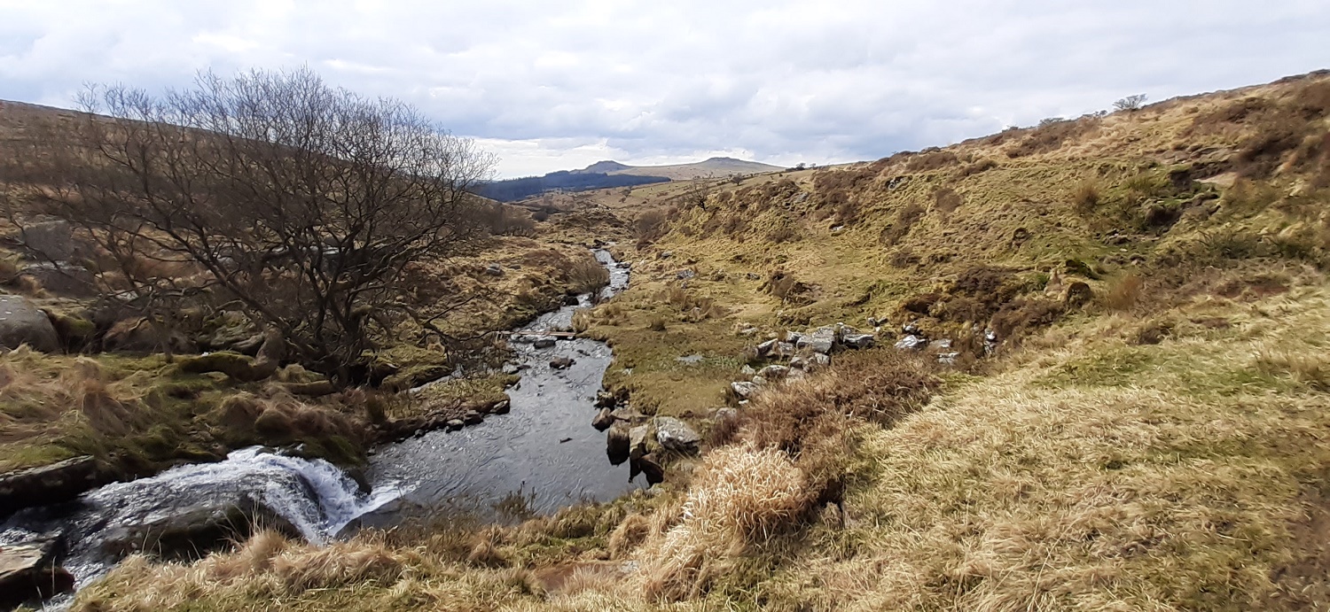Black Tor falls | treksandtors