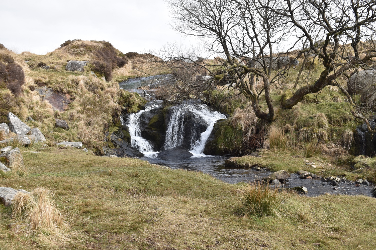 Black Tor falls | treksandtors