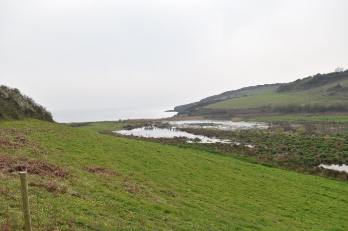 Berry Head and Brixham | treksandtors