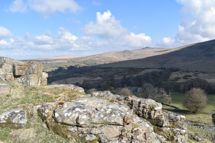 Fur Tor, The Queen of Moor | treksandtors