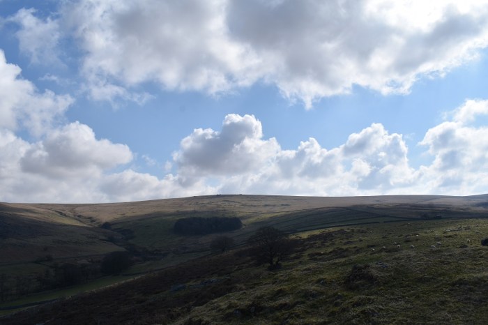 Fur Tor, The Queen of Moor | treksandtors