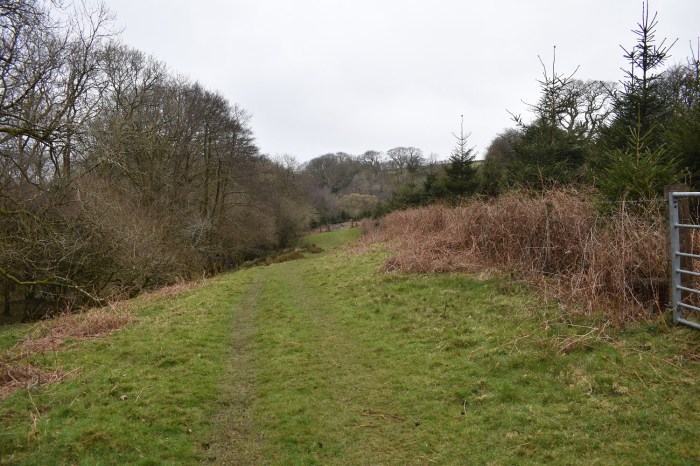 Sampford Spiney, Pew Tor and Whitchurch Down | treksandtors