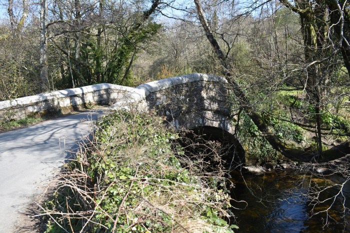 Templer Way, Yarner Woods and Knowle Rocks | treksandtors