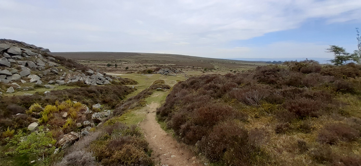 Haytor Quarry | treksandtors
