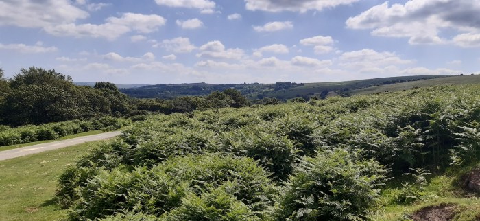 Shilley Pool and Shilstone Tor | treksandtors