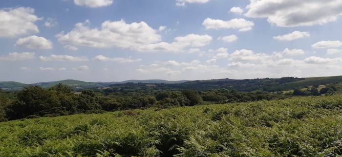 Shilley Pool and Shilstone Tor | treksandtors