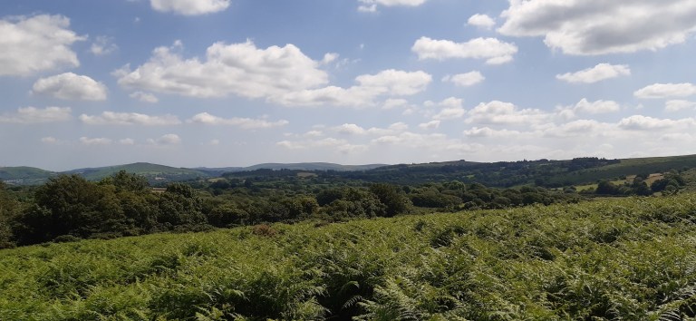 Shilley Pool and Shilstone Tor | treksandtors