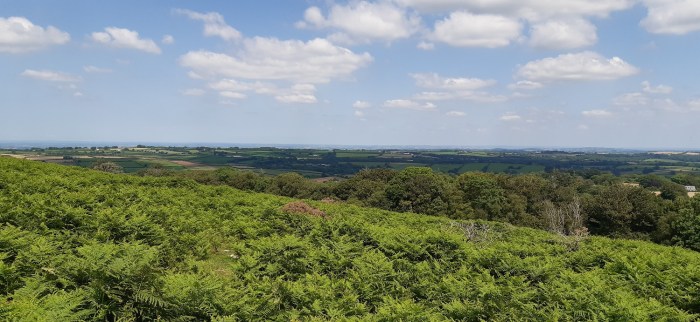 Shilley Pool and Shilstone Tor | treksandtors