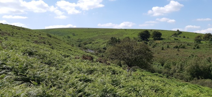 Shilley Pool and Shilstone Tor | treksandtors