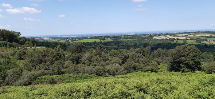 Shilley Pool and Shilstone Tor | treksandtors