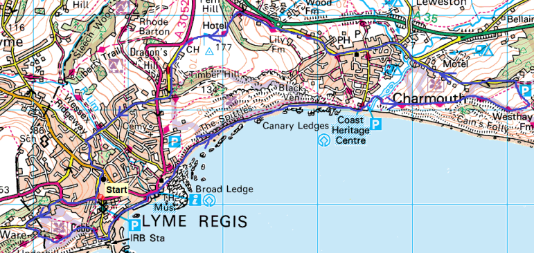 Lyme Regis to Charmouth and on to Stonebarrow Hill | treksandtors