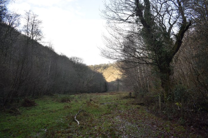 Steps Bridge, Dunsford and Clifford Bridge | treksandtors