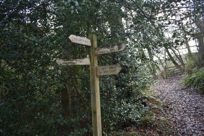 Steps Bridge, Dunsford and Clifford Bridge | treksandtors
