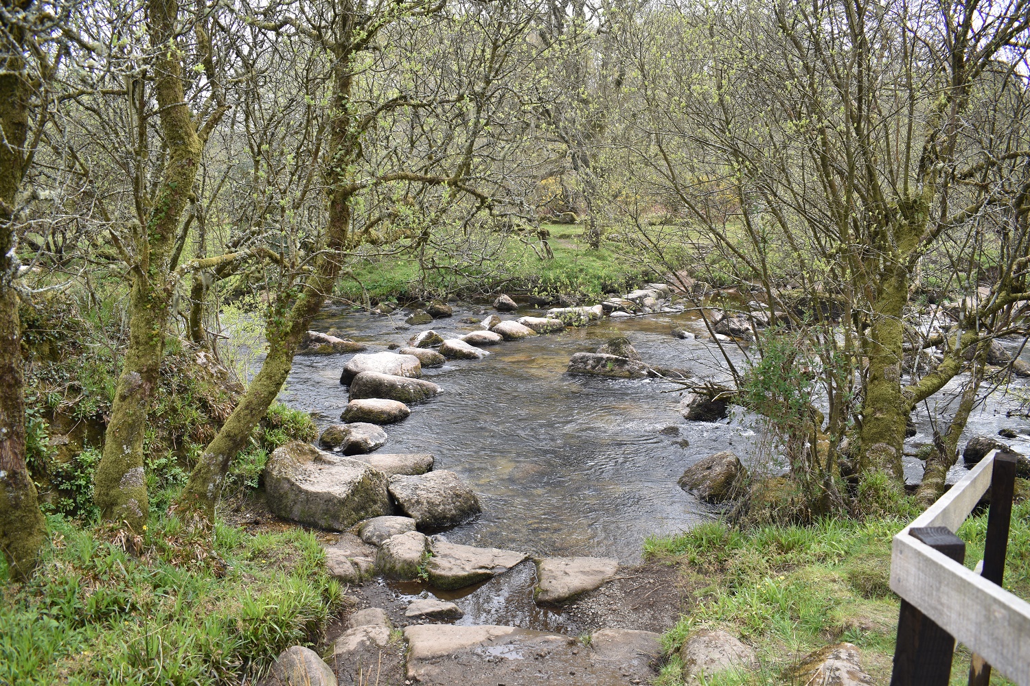 Dartmeet Stepping Stones | treksandtors