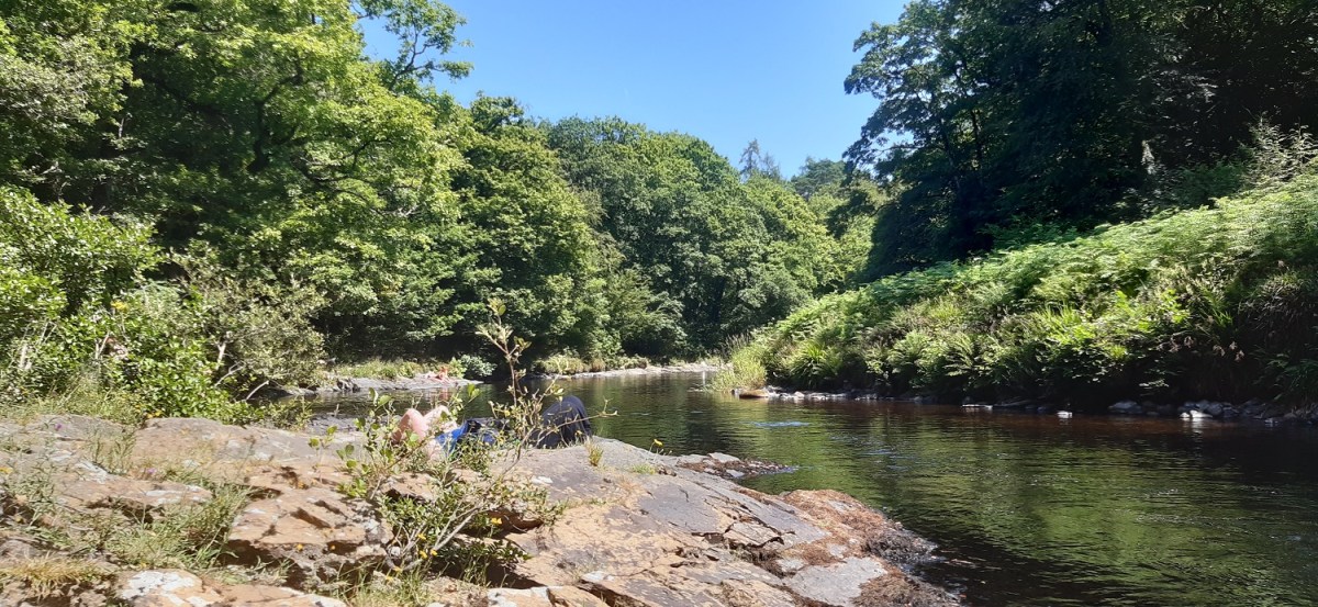 A swim in the River Dart | treksandtors