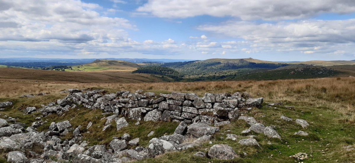 Gutter Tor, Ditsworthy Warren and Eylesbarrow | treksandtors