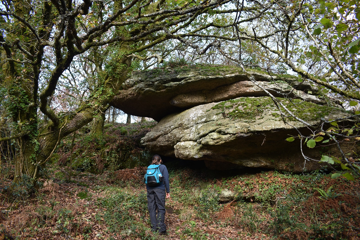 Shaptor Rock | treksandtors