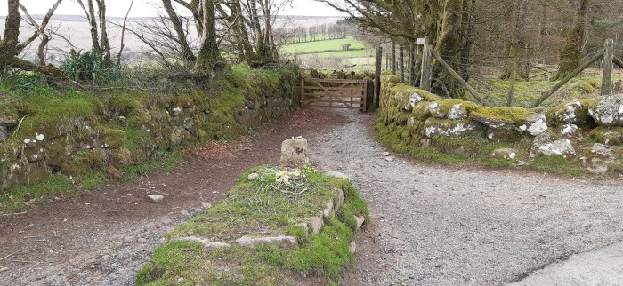 Bowermans Nose, Easdon Tor and Manaton Rocks | treksandtors