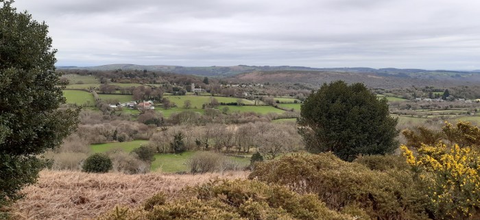 Bowermans Nose, Easdon Tor and Manaton Rocks | treksandtors