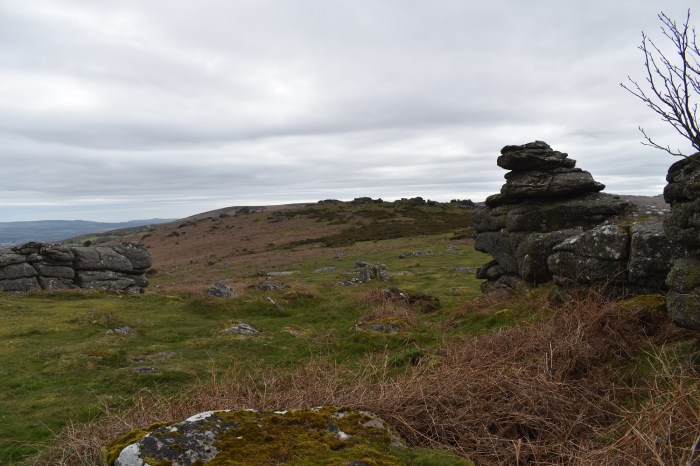 Bowermans Nose, Easdon Tor and Manaton Rocks | treksandtors