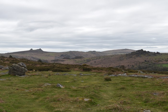 Bowermans Nose, Easdon Tor and Manaton Rocks | treksandtors