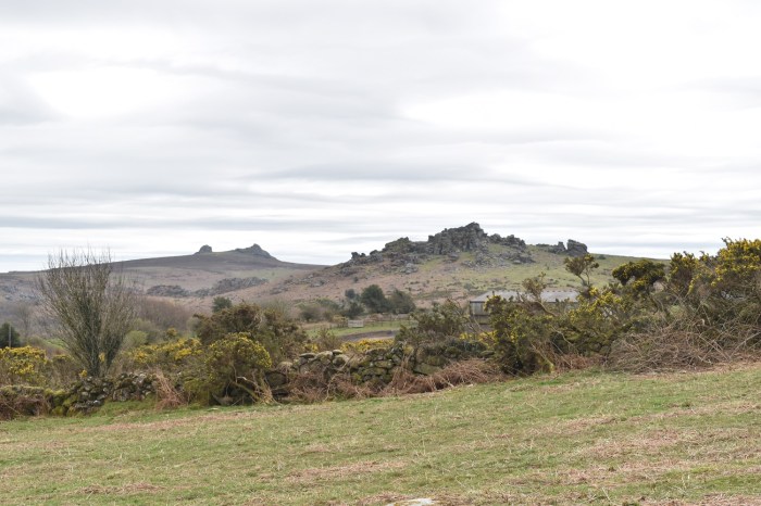 Bowermans Nose, Easdon Tor and Manaton Rocks | treksandtors