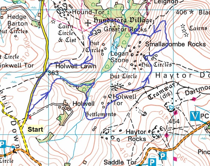 Holwell Bluebells | treksandtors