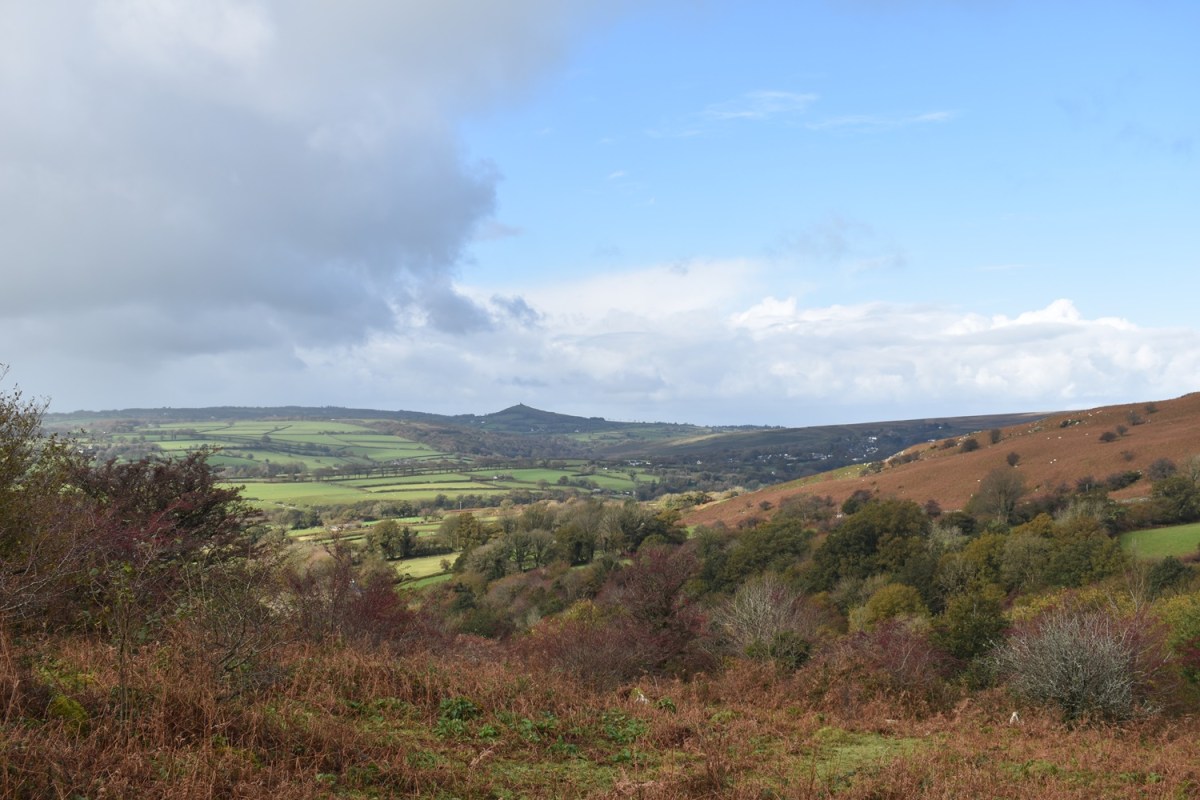 Cox Tor, Sharp Tor and the Combe | treksandtors
