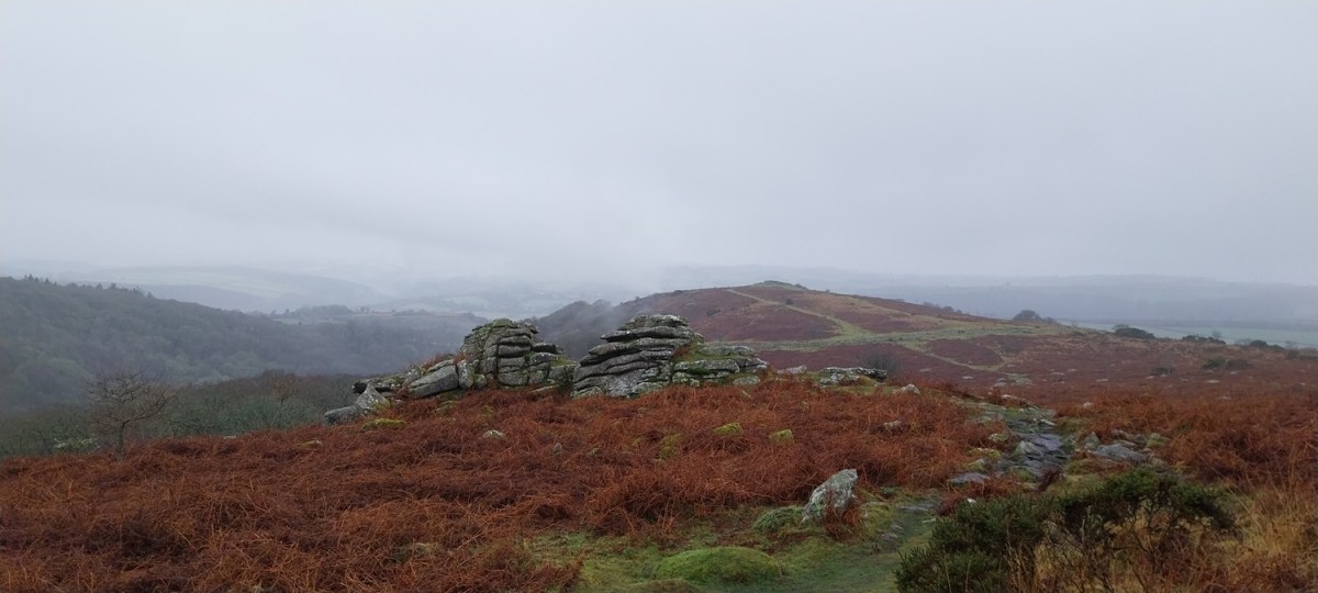 Christmas Cadover Bridge to Shaugh Bridge walk | treksandtors