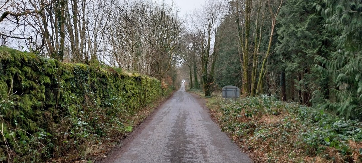 Ausewell Rocks and Buckland in the Moor | treksandtors